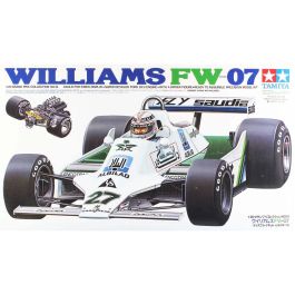 Williams FW-07 1979/1980 /20